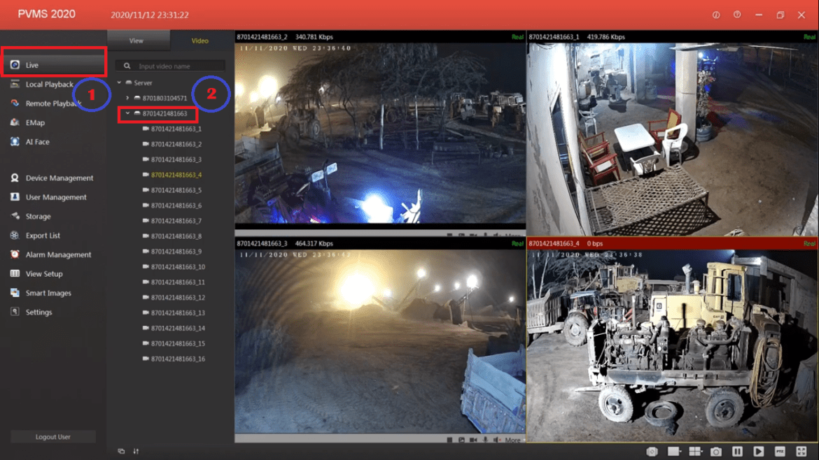 Download Pollo Live For PC Free For Windows 11/10 & Mac OS