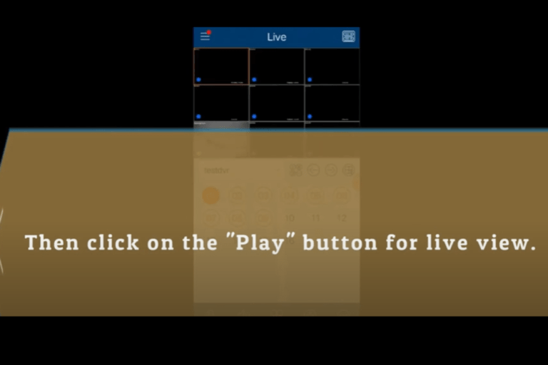 How to Make TVT NVR Online & Do Remote Monitoring