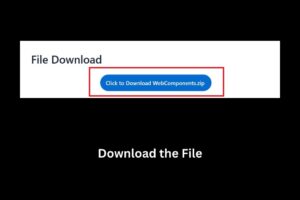 How To Install Hikvision Browser Plugin? Full Illustration
